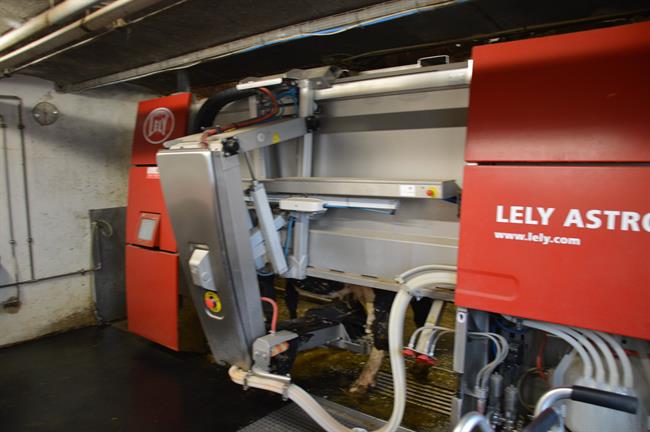 1 stk. brugt Lely A3 Next malkerobot | køb dem lige her!
